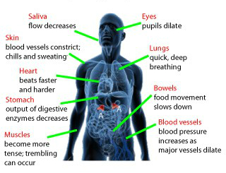 When the Combat Switch is Broken: The Dangerous Effects of the Military ...