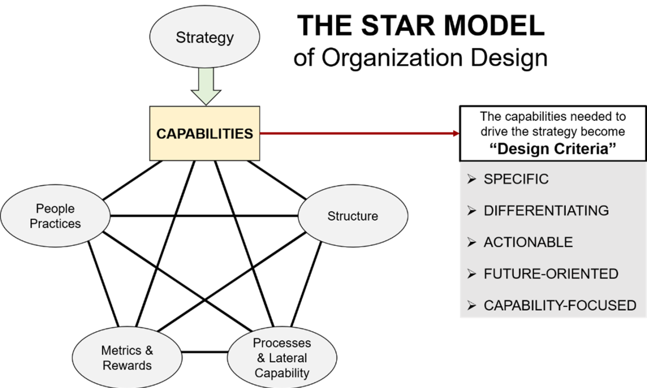 Creating a Strategic HR Capability: Four Steps to Accelerate the US ...
