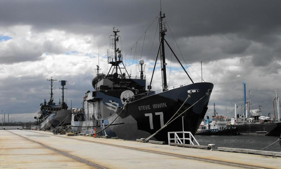 Irregular Warfare Podcast: The Cod Wars, Sea Shepherd, and Irregular ...